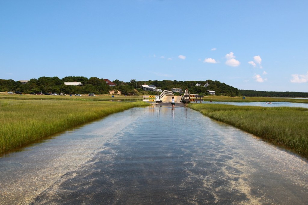 photo friday: lieutenant island – gobbledy goon